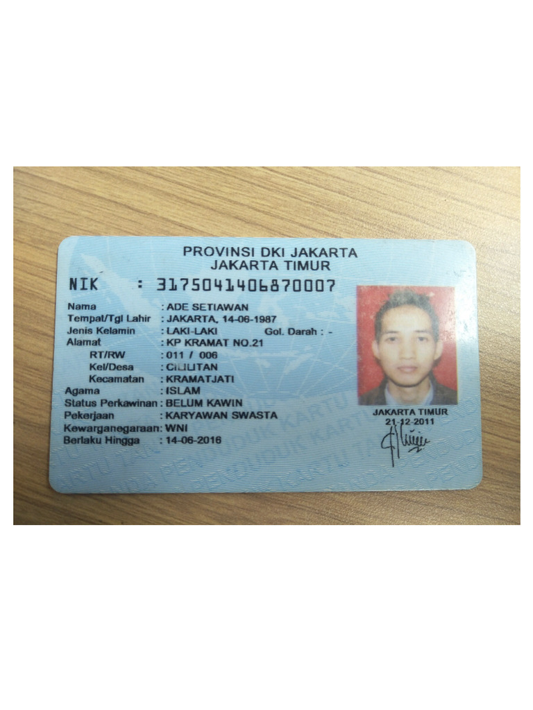 PDFGallery 20250430 180028 | PDF