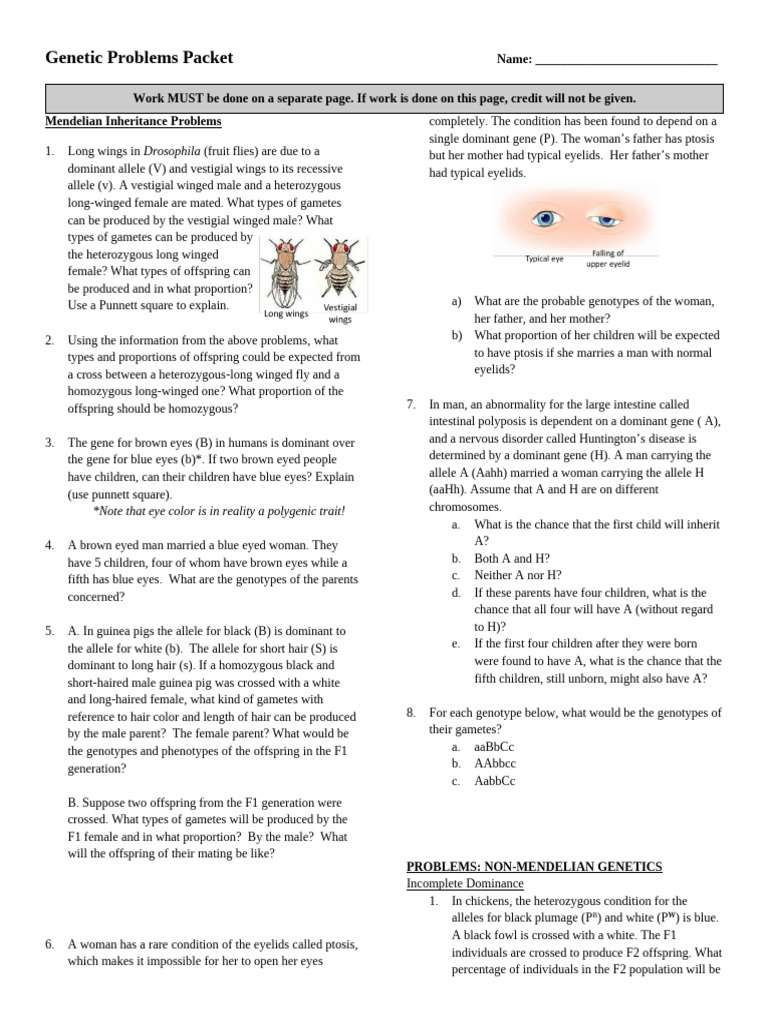 2025 Genetic Problems Packet | PDF | Dominance (Genetics) | Genotype