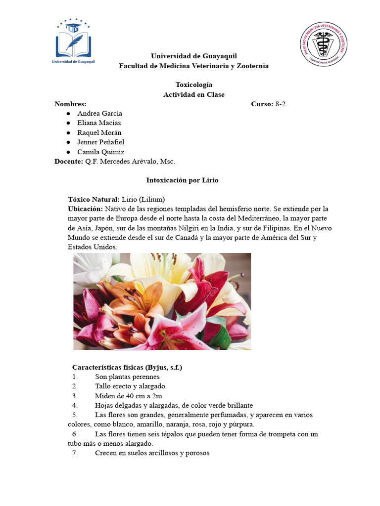 Toxicología Lirio | PDF