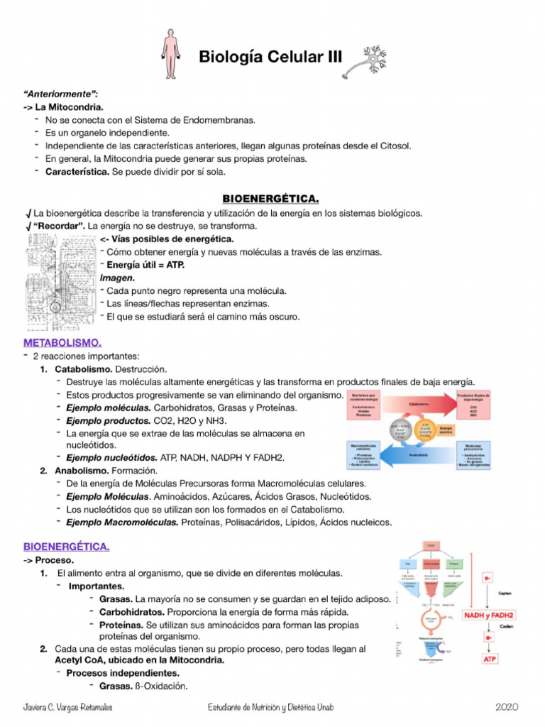 solemne 3 Biocel | PDF