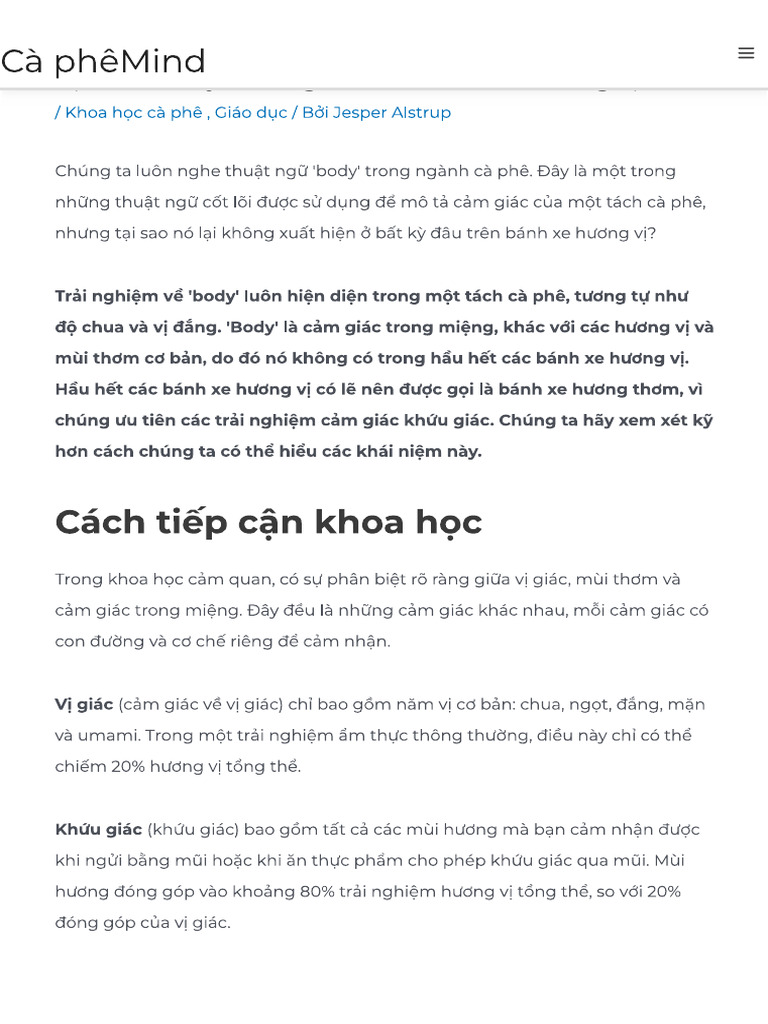 Body Cafe | PDF