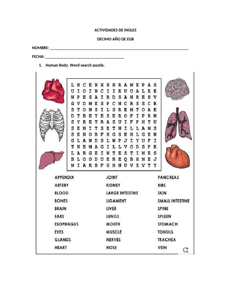 Actividades de Ingles Decimo Año de Egb | PDF