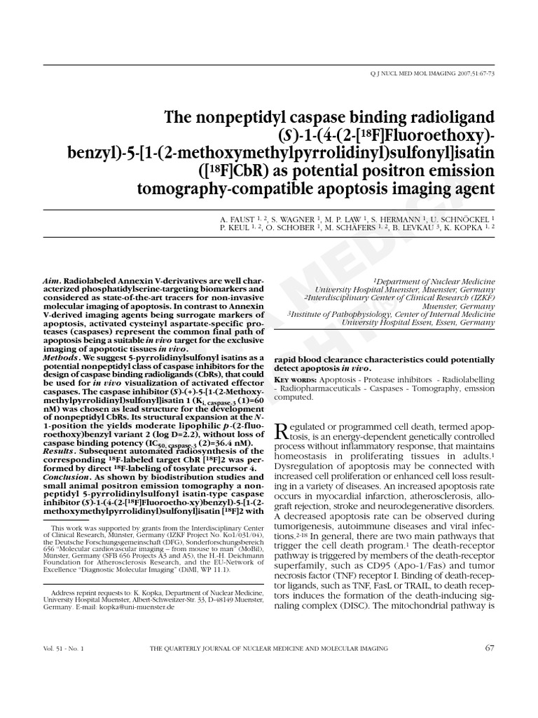 Q J Nucl Med Mol Imaging 2007 67 | PDF | Apoptosis | Caspase 3