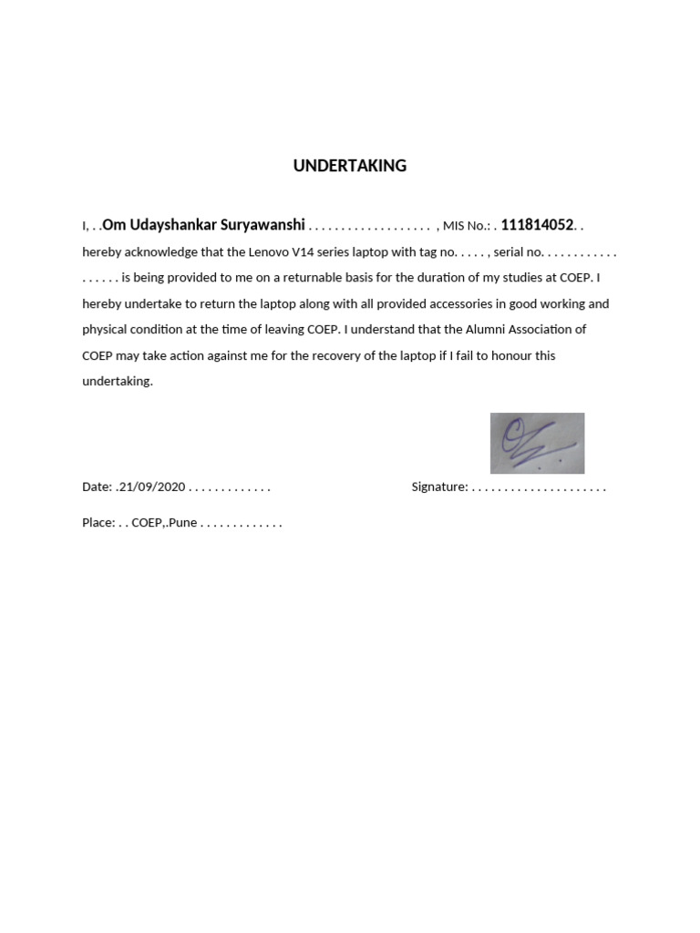 UNDERTAKING | PDF