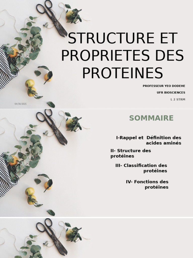 Cours Proteines l2-Strm | PDF | Structure de la protéine | Électrophorèse