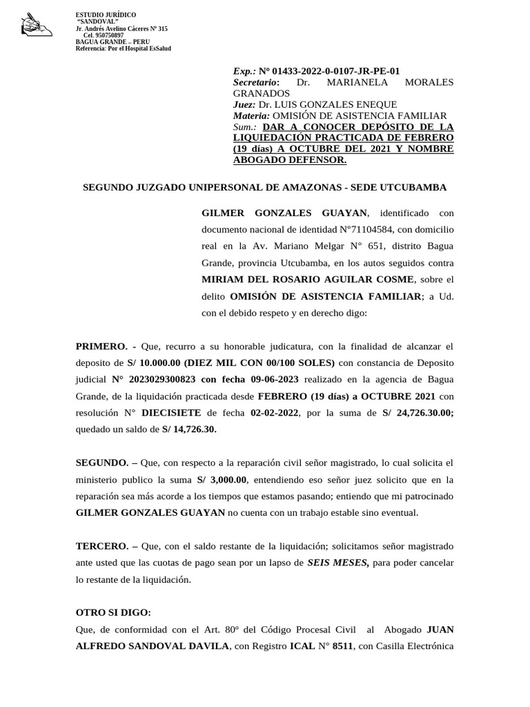 Escrito de alimentos | PDF | Ley Pública | Justicia