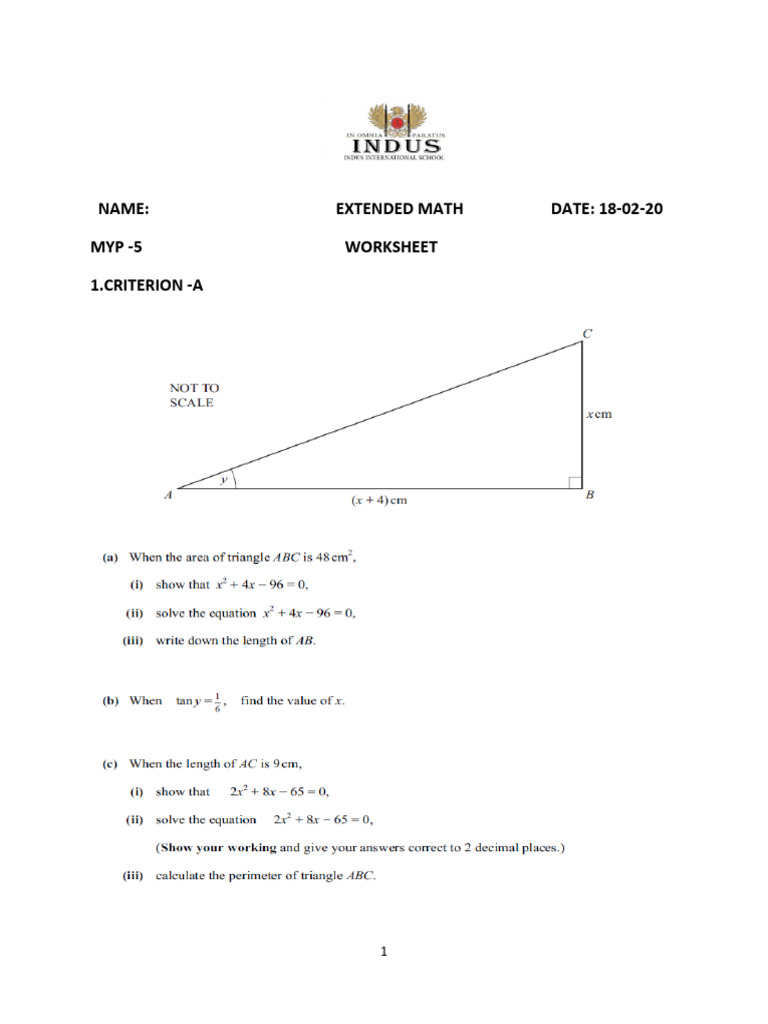 Myp-5 Extended Math Practice Workshet - 1 | PDF | Mathematical Concepts ...