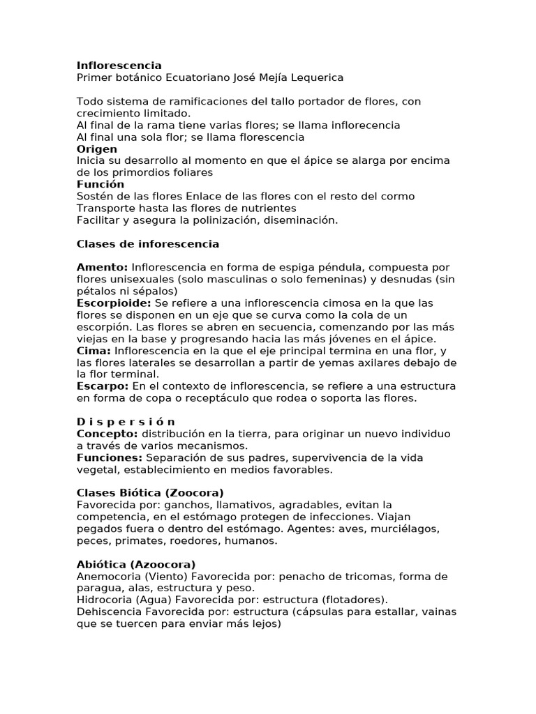 Inflorescencia | PDF