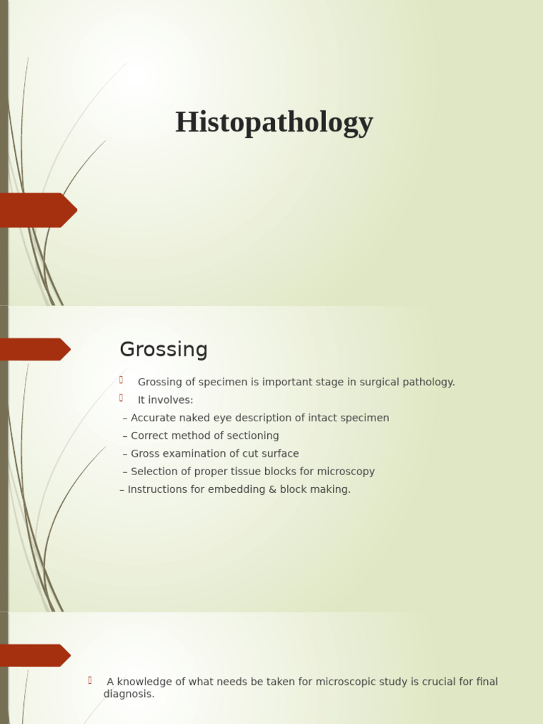 Essential Guide to Surgical Grossing Techniques | PDF | Gallbladder ...