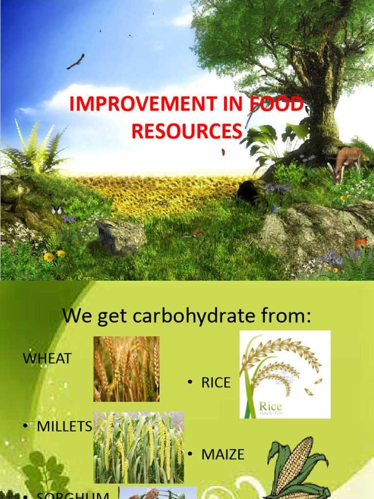 Improvement in Food Resources | PDF | Legume | Crops