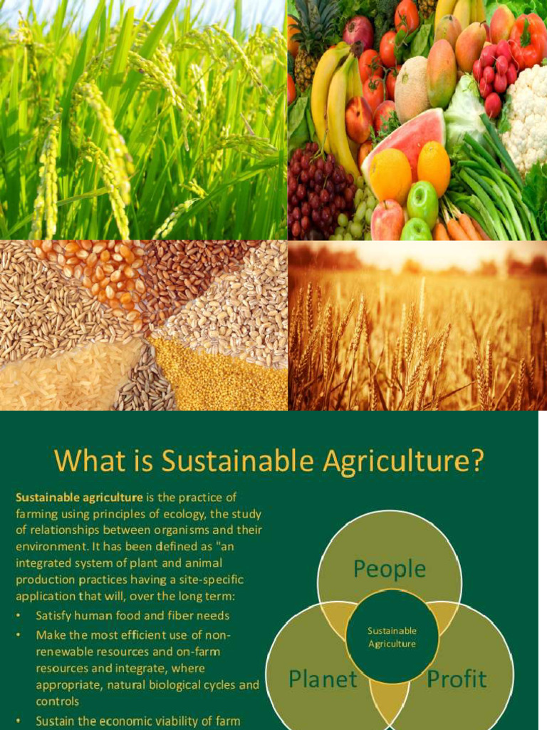 Improvement of Food Resources in Agriculture | PDF | Plant Nutrition ...