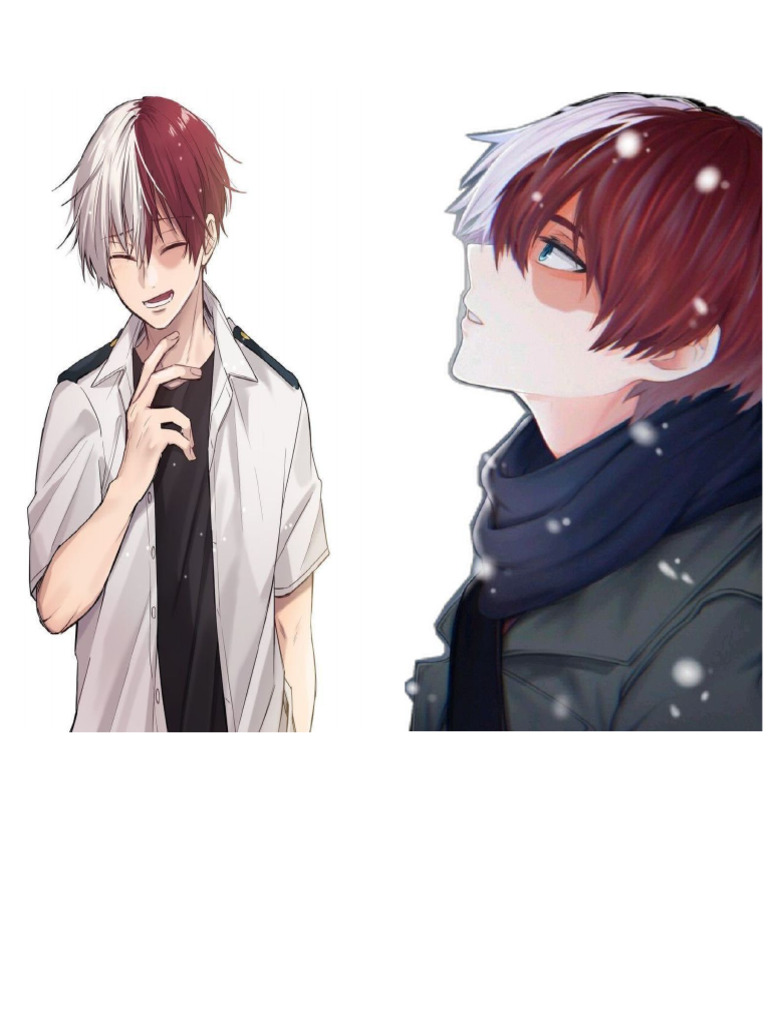 Shoto Todoroki | PDF