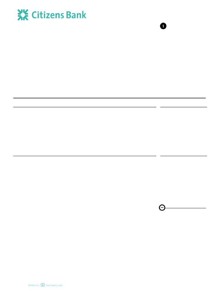 Analysis Business Checking, Jan 2025 | PDF