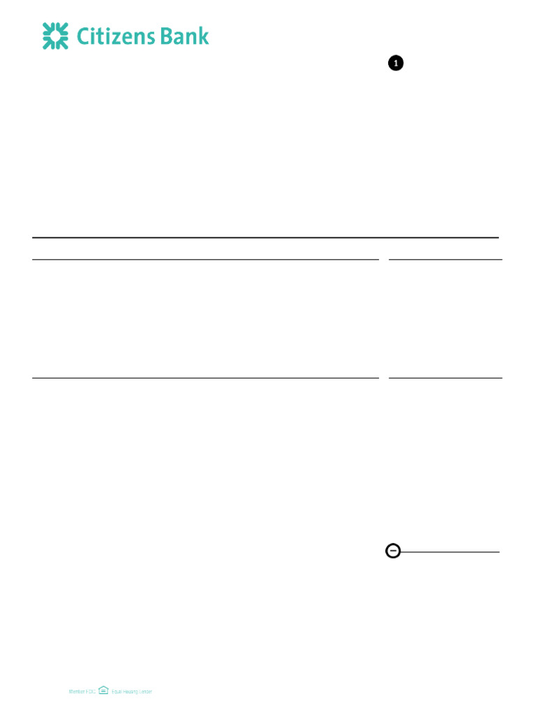 Analysis Business Checking, Feb - 2025 | PDF