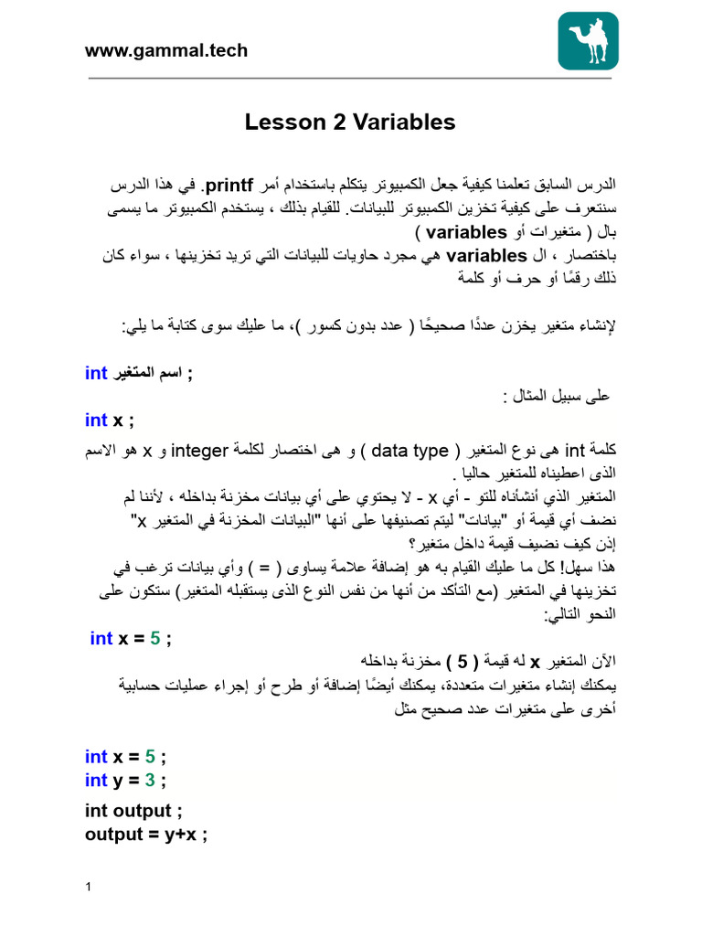 Lesson 2 Variables | PDF