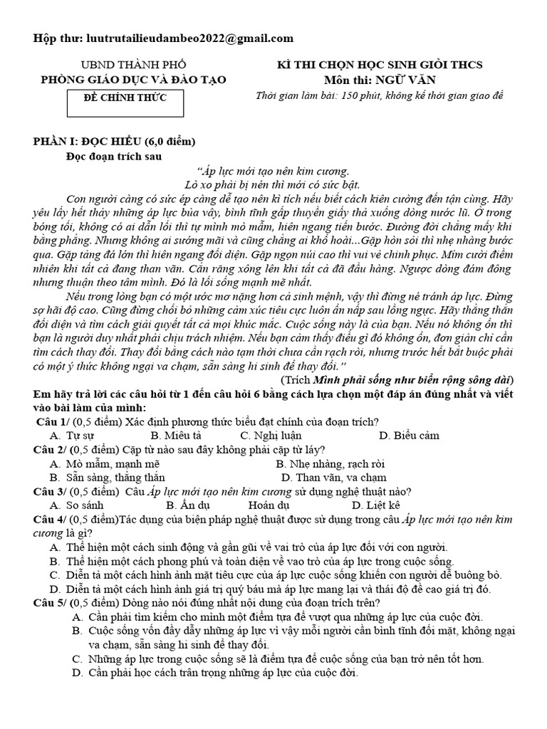 de-hsg-van-9-2024-2025-18du-an-hsg9 | PDF