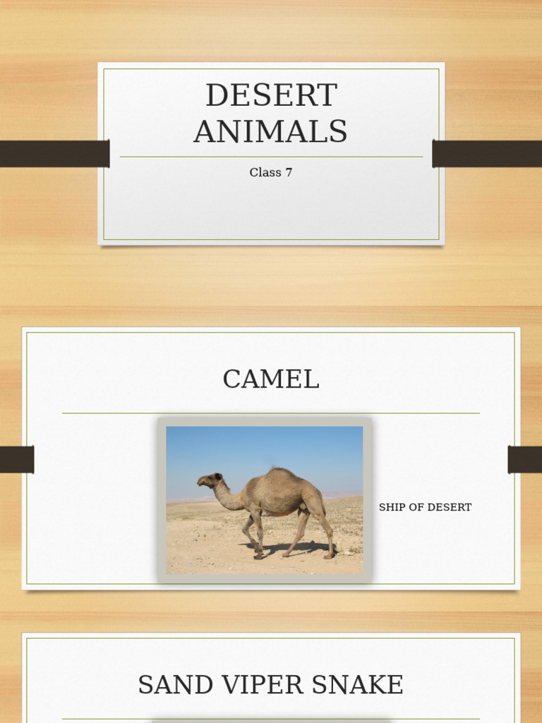 Desert Animals | PDF