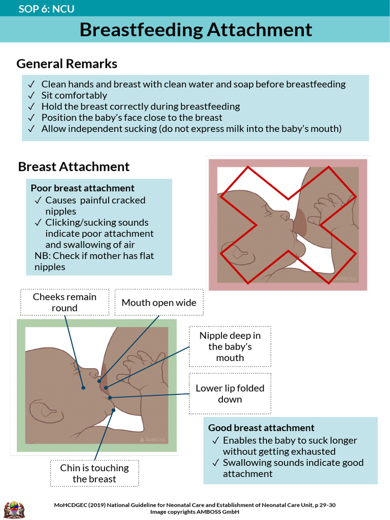 6_Breastfeeding_Attachment | PDF
