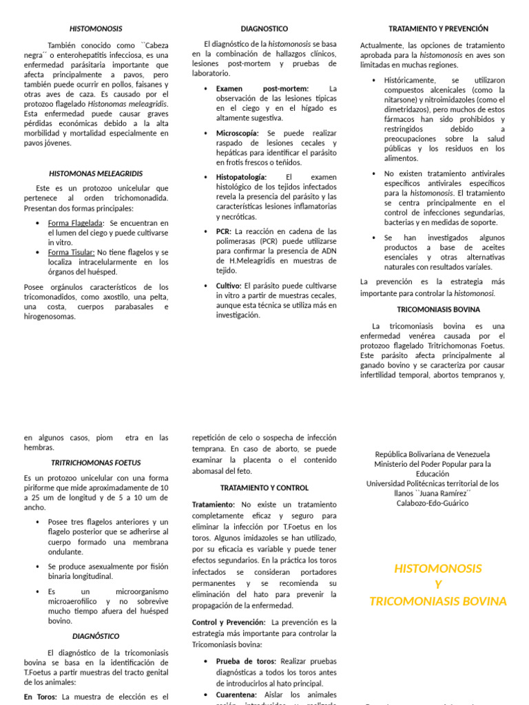 triptico Histomonosis | PDF | Microbiología | Especialidades Medicas