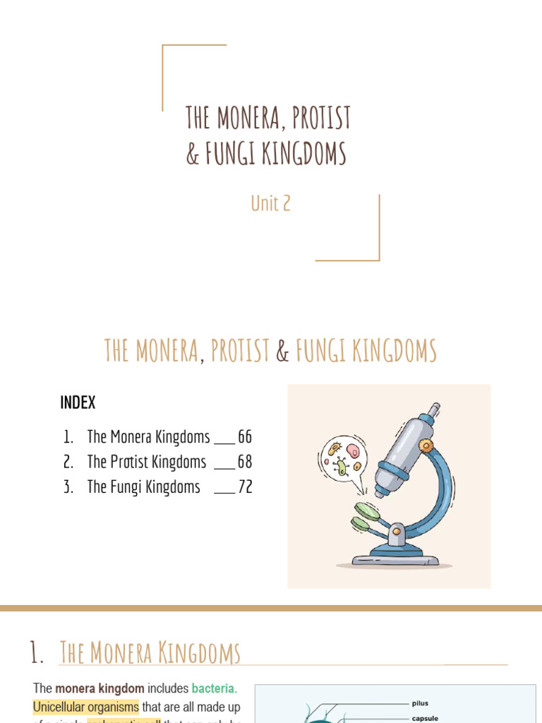 The Monera, Protist & Fungi Kingdoms | PDF | Protozoa | Fungus