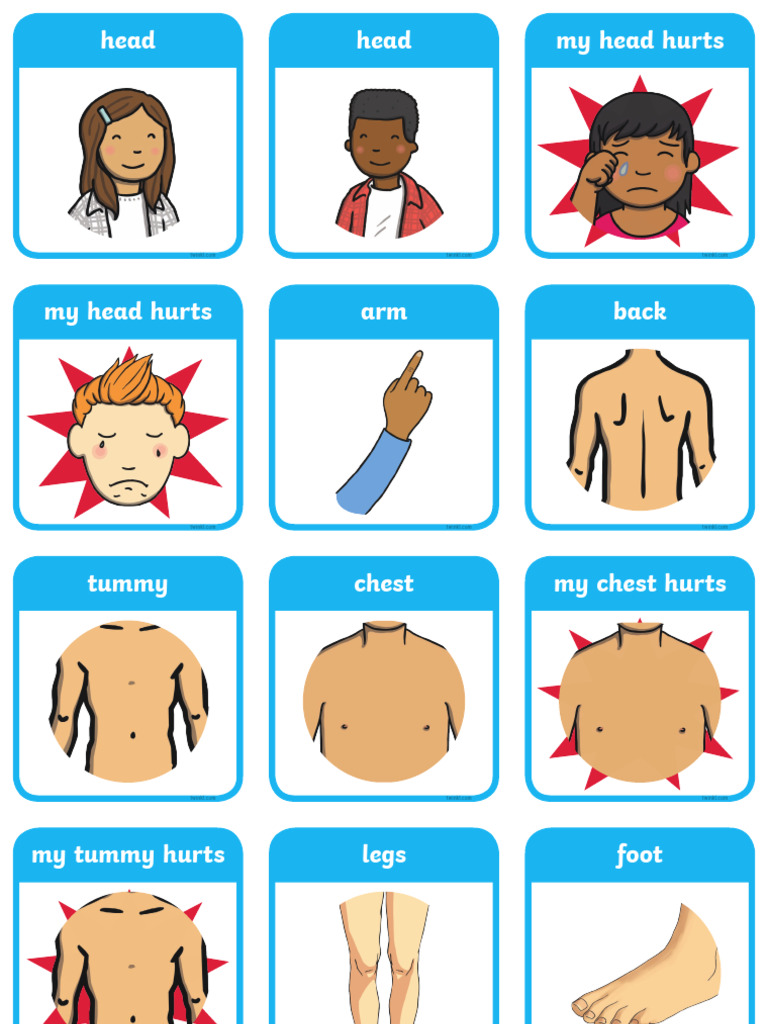 T T 3912 Parts of The Body Communication Cards - Ver - 3 | PDF