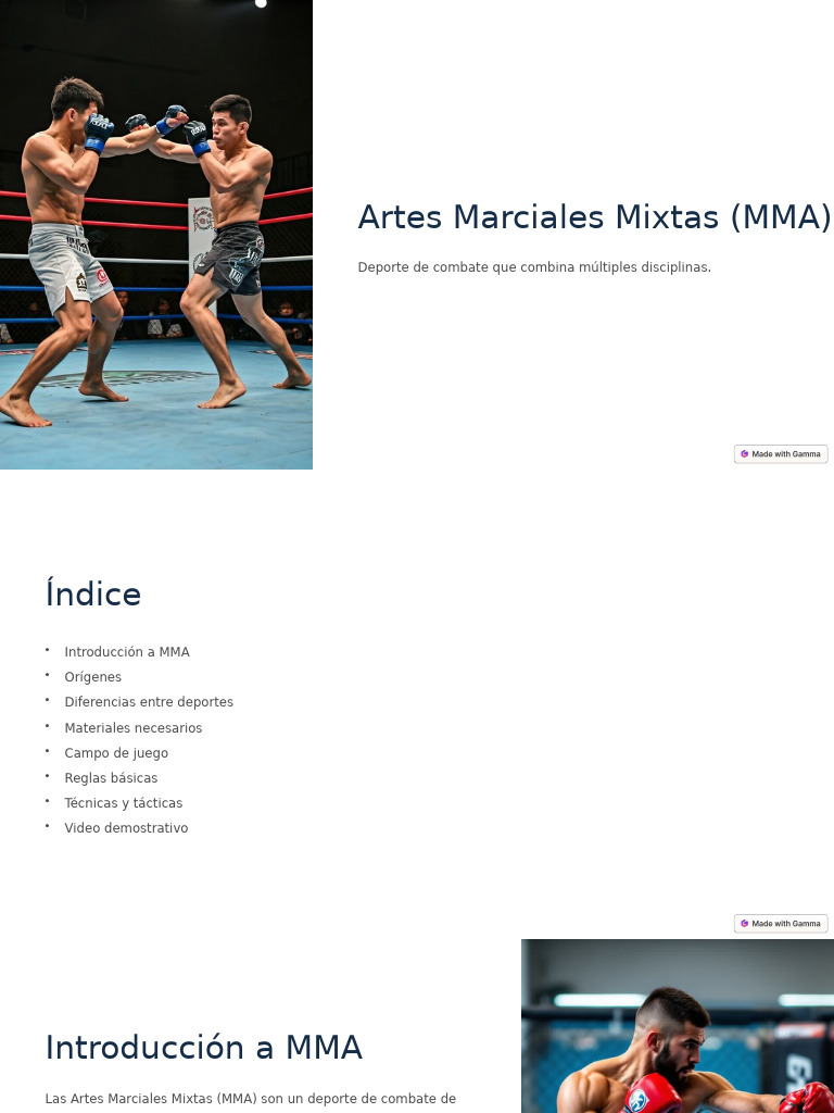 Artes Marciales Mixtas MMA | PDF