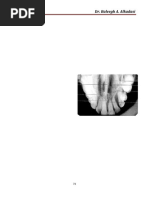 Maxillary Occlusal Radiography Guide | PDF | Dental Anatomy ...
