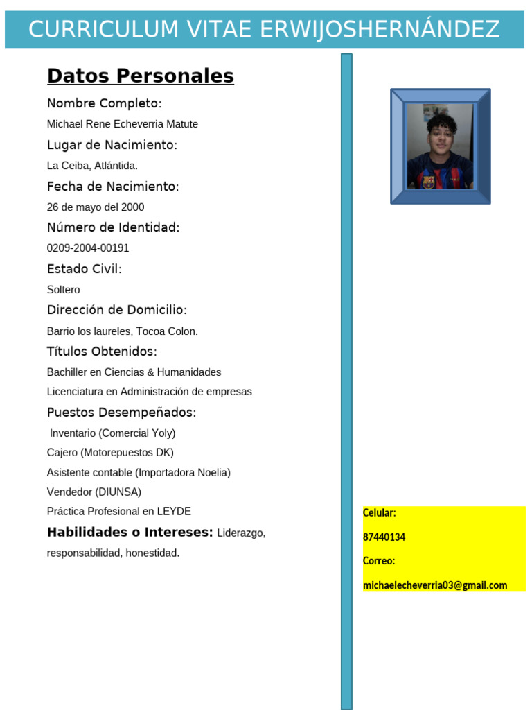 Curriculum Michael 2024 - OTRO | PDF