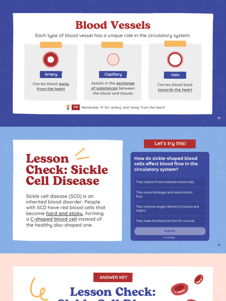 The Circulatory System Education Presentation in Peach Red Blue Hand ...