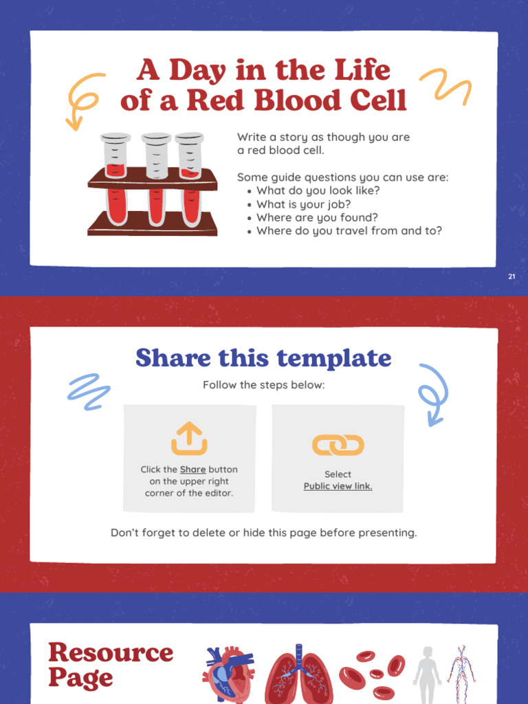 The Circulatory System Education Presentation in Peach Red Blue Hand ...