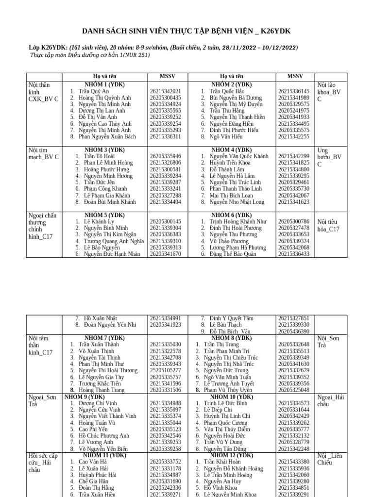 DSSV K26ydk TTBV - Kã I - Nur251 | PDF