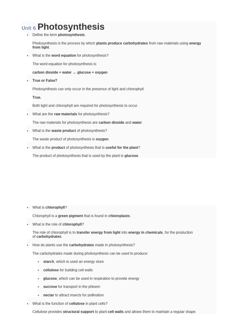 Unit 6 Photosynthesis Flash C g9 | PDF | Photosynthesis | Leaf