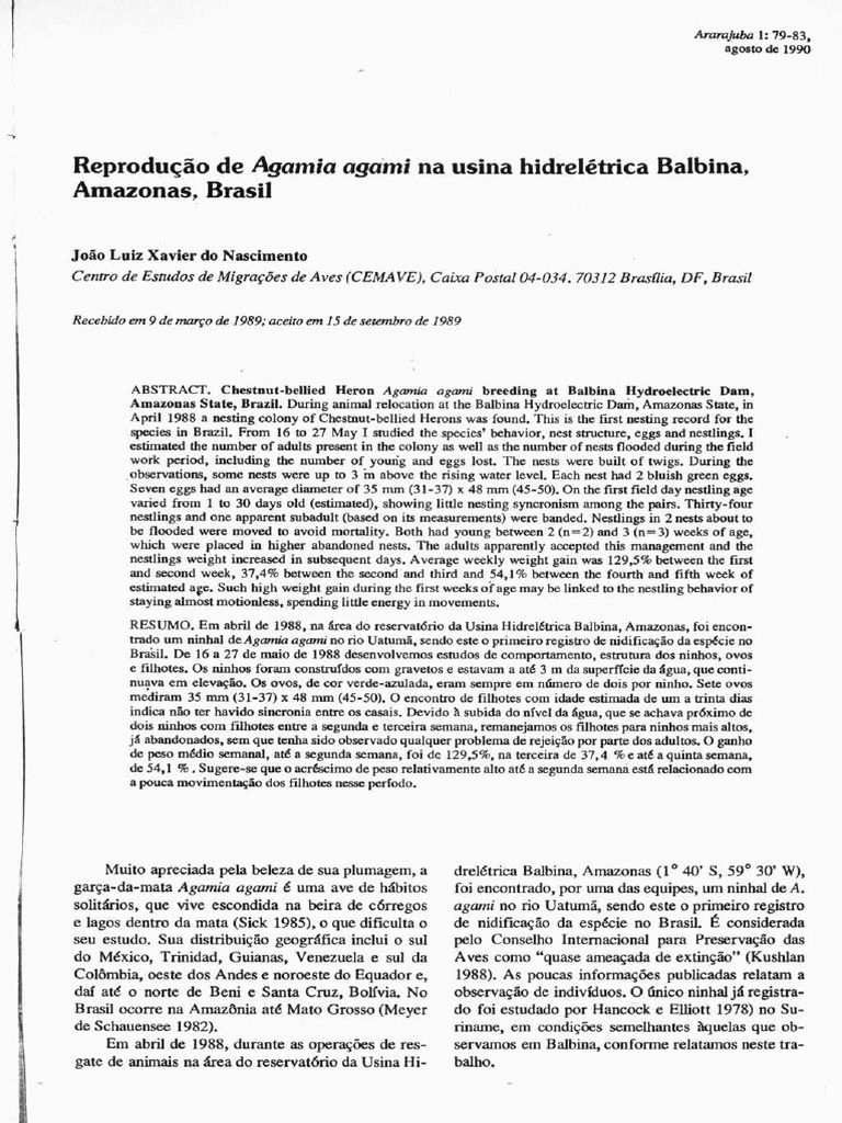 Reprodução de Agamia Agami Na Usina Hidrelétrica Balbina, Amazonas ...