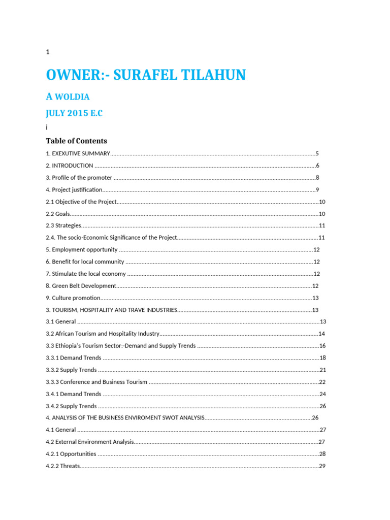 Surafel Solomon's Project Overview | PDF | Tourism | Ethiopia