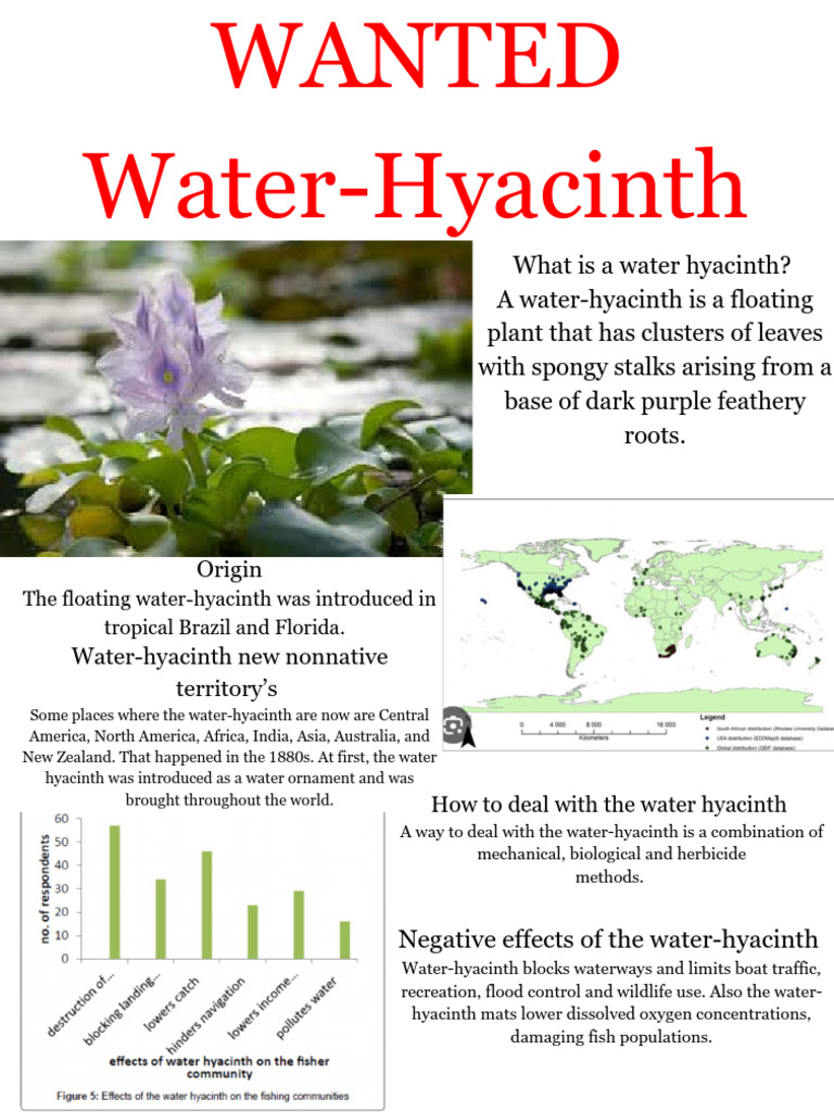 Invasive Species Project - Science | PDF