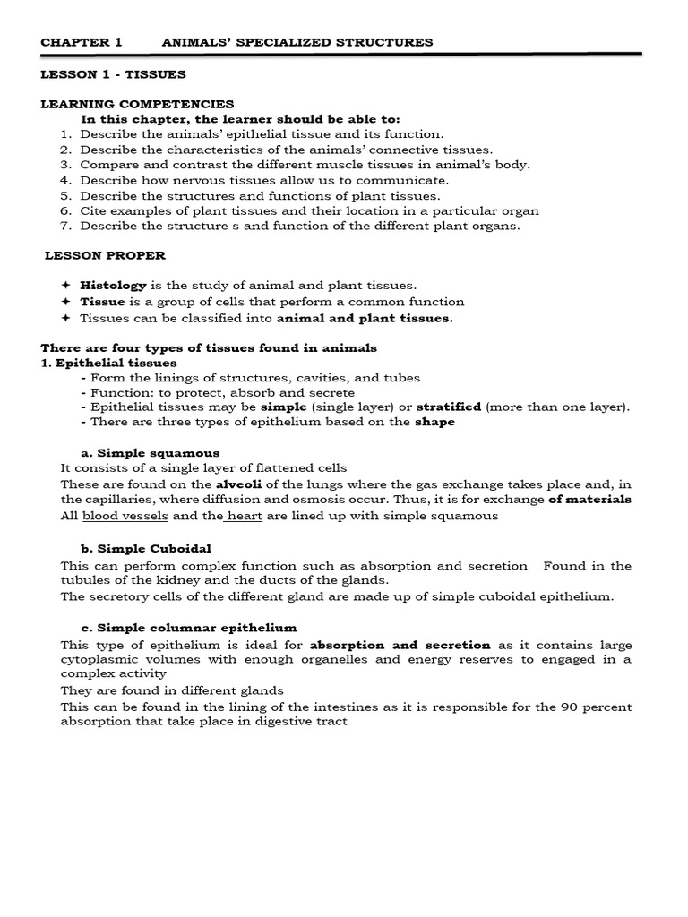Chapter 1 Animal and Plant Tissues | PDF | Epithelium | Flowers