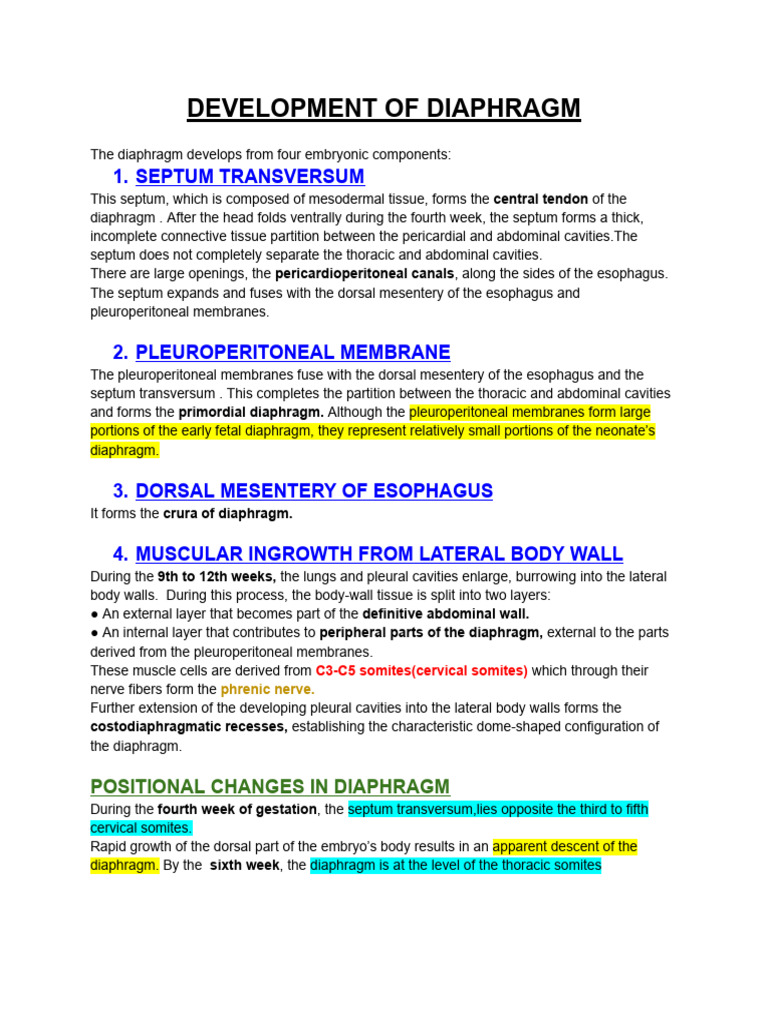 Development of Diaphragm | PDF | Thorax (Human Anatomy) | Anatomy