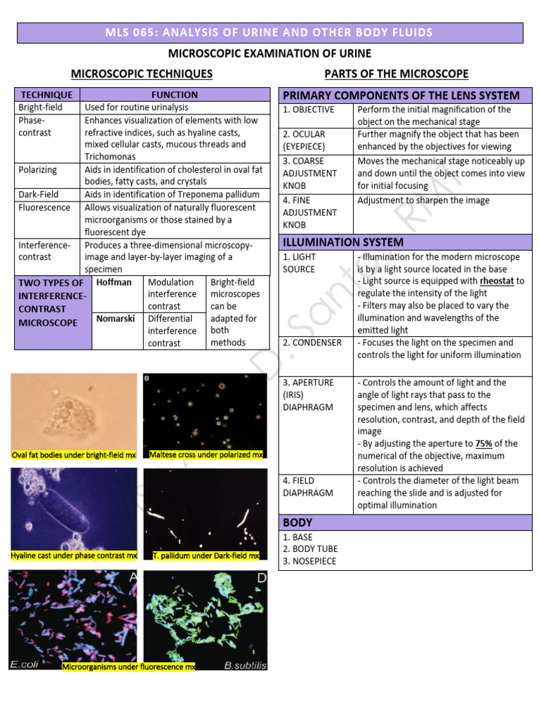 Urine Microscopy Techniques and Analysis | PDF