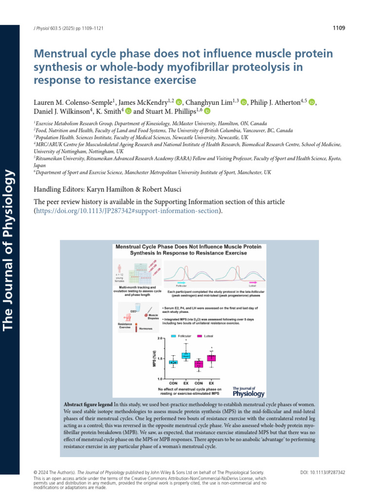 Menstrual Cycle Phase Does Not Influence Muscle Protein Synthesis or ...