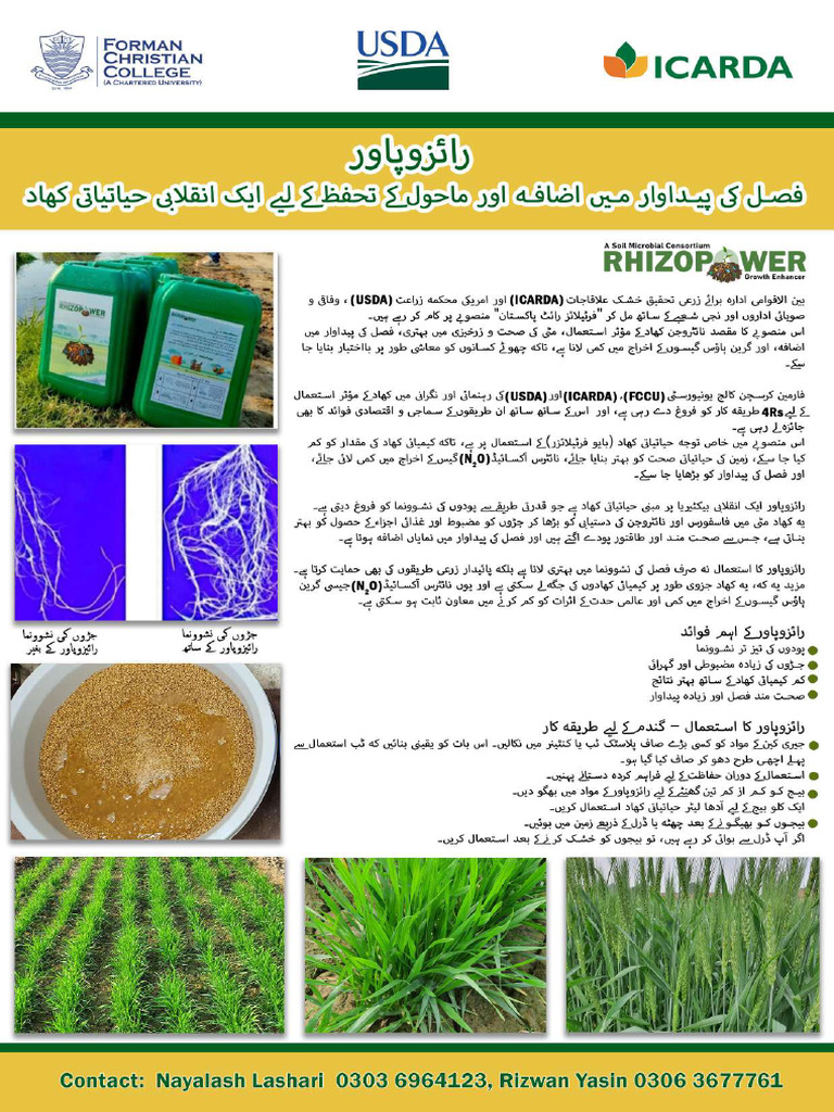 Urdu Banner | PDF