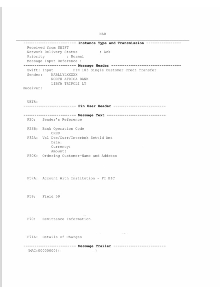 MT 103 Template | PDF