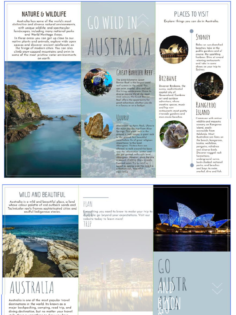 Trip Pamphlet 2 | PDF