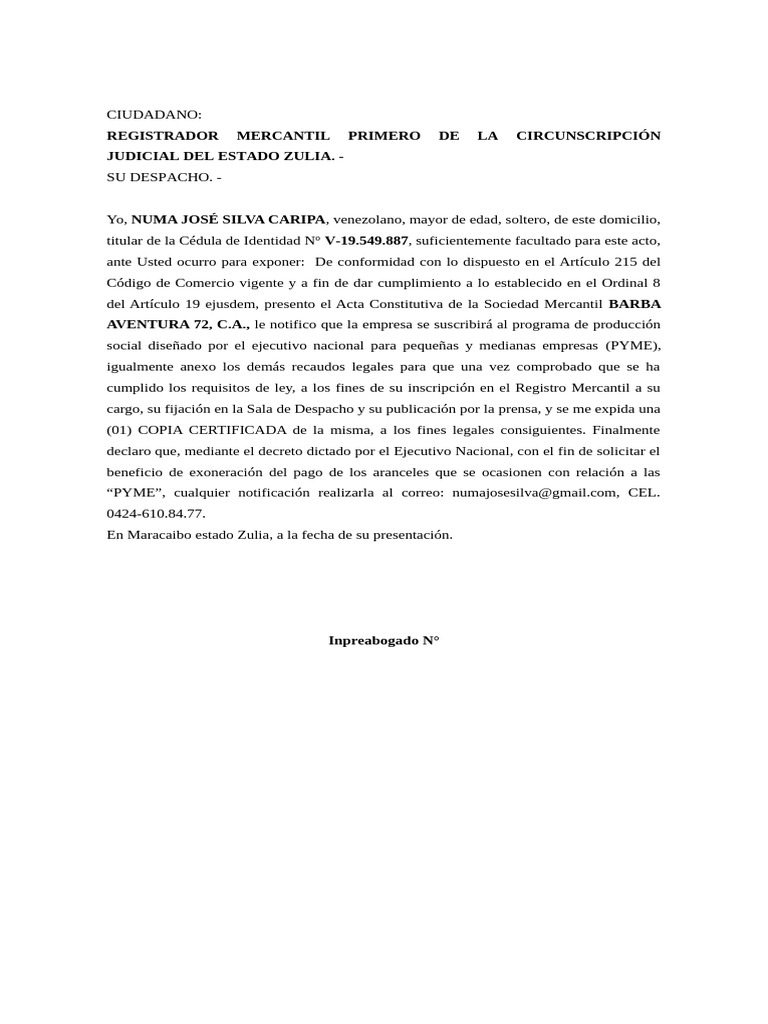 Modelo de Pyme | PDF | Sociedad de responsabilidad limitada | Compartir (Finanzas)