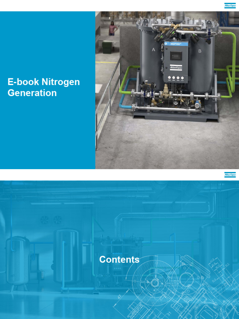 On-Site Nitrogen Generation for Pharma | PDF | Adsorption | Nitrogen