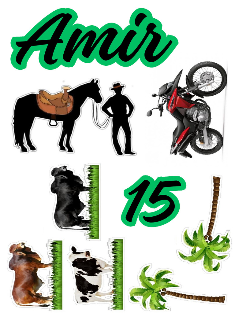 Amir | PDF