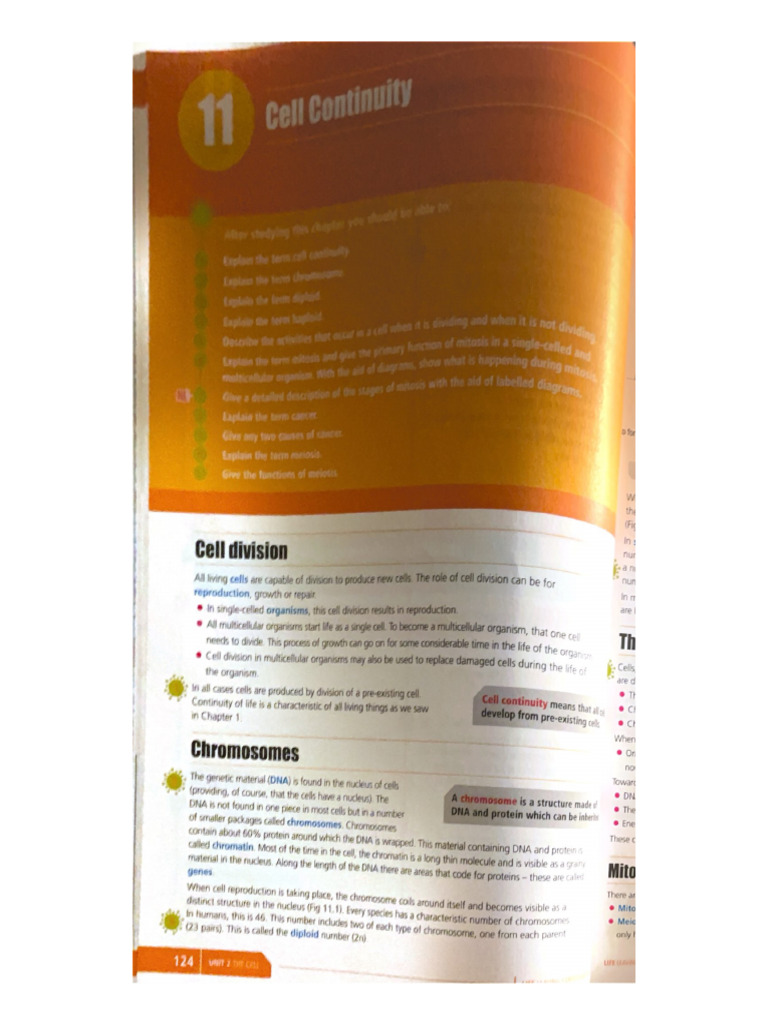 Cell Continuity | PDF