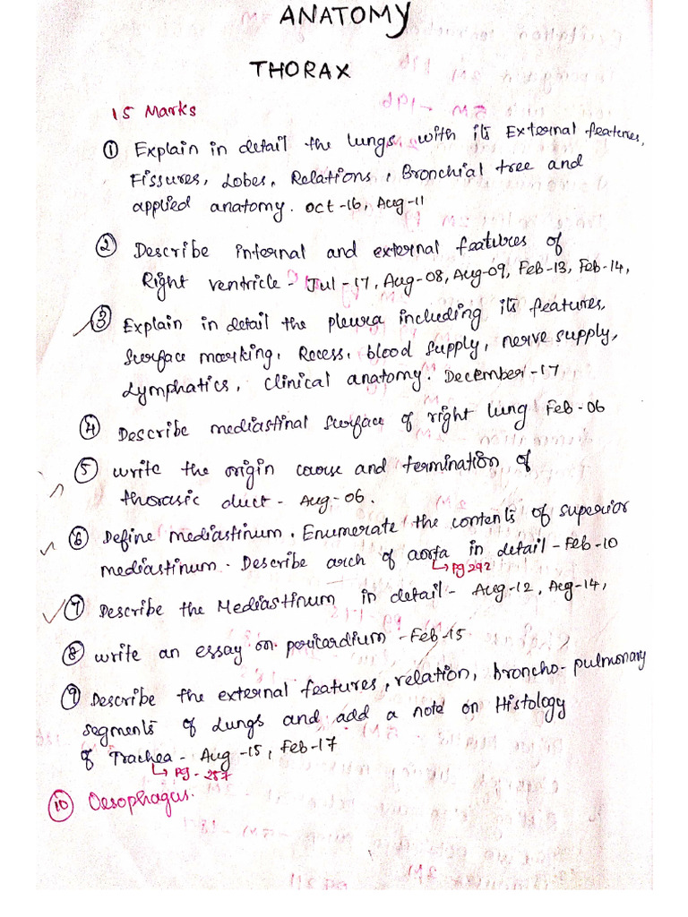 Anatomy Thorax Questions | PDF
