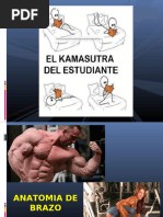 Desgarre Del Biceps Braquial | PDF | Codo | Tendón