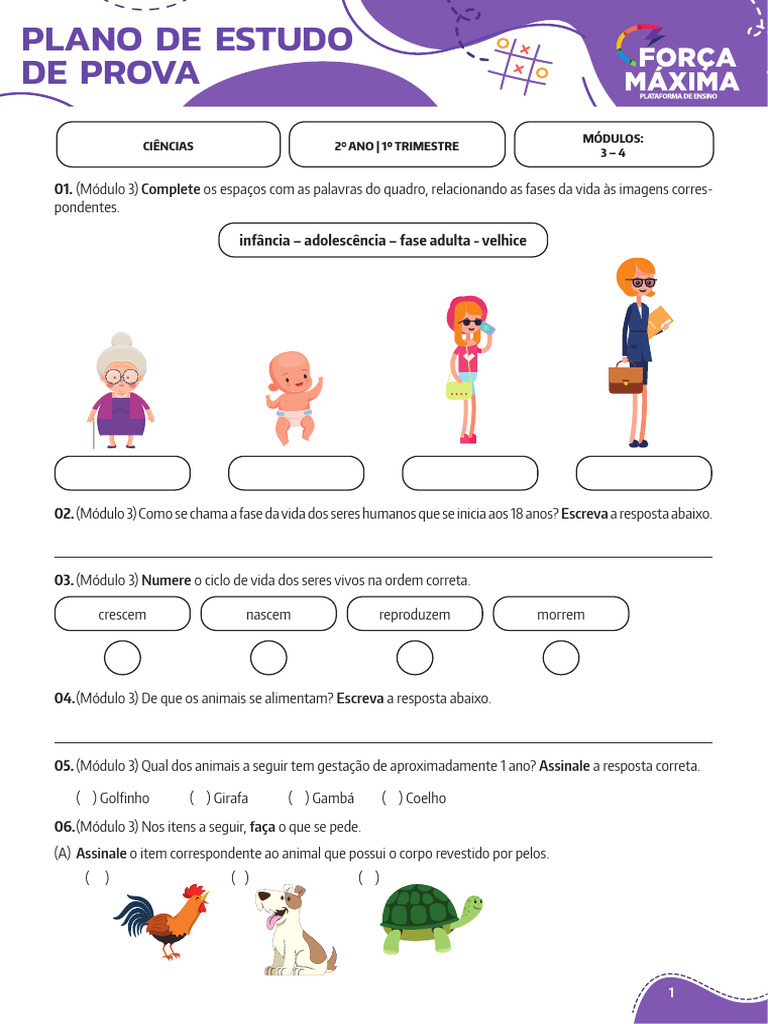 Pe l2 - Cie 2a [Prova]_2024 | PDF