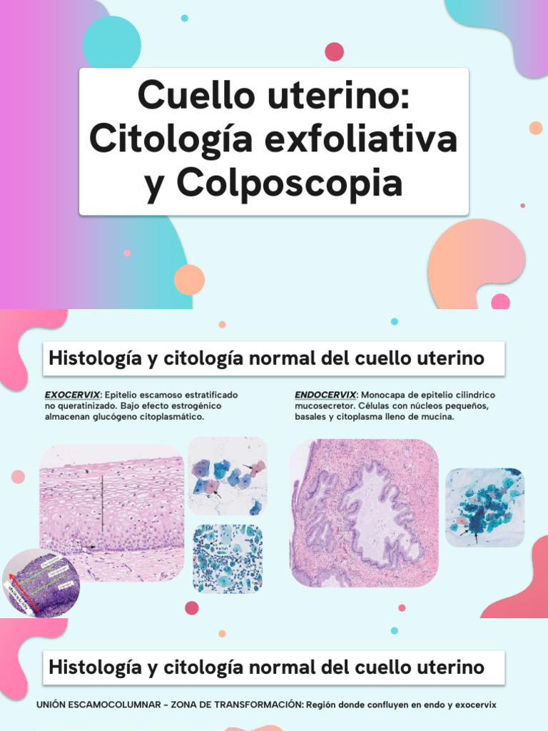Citología y Colposcopia del Cuello Uterino | PDF | Ciencias de la Salud ...